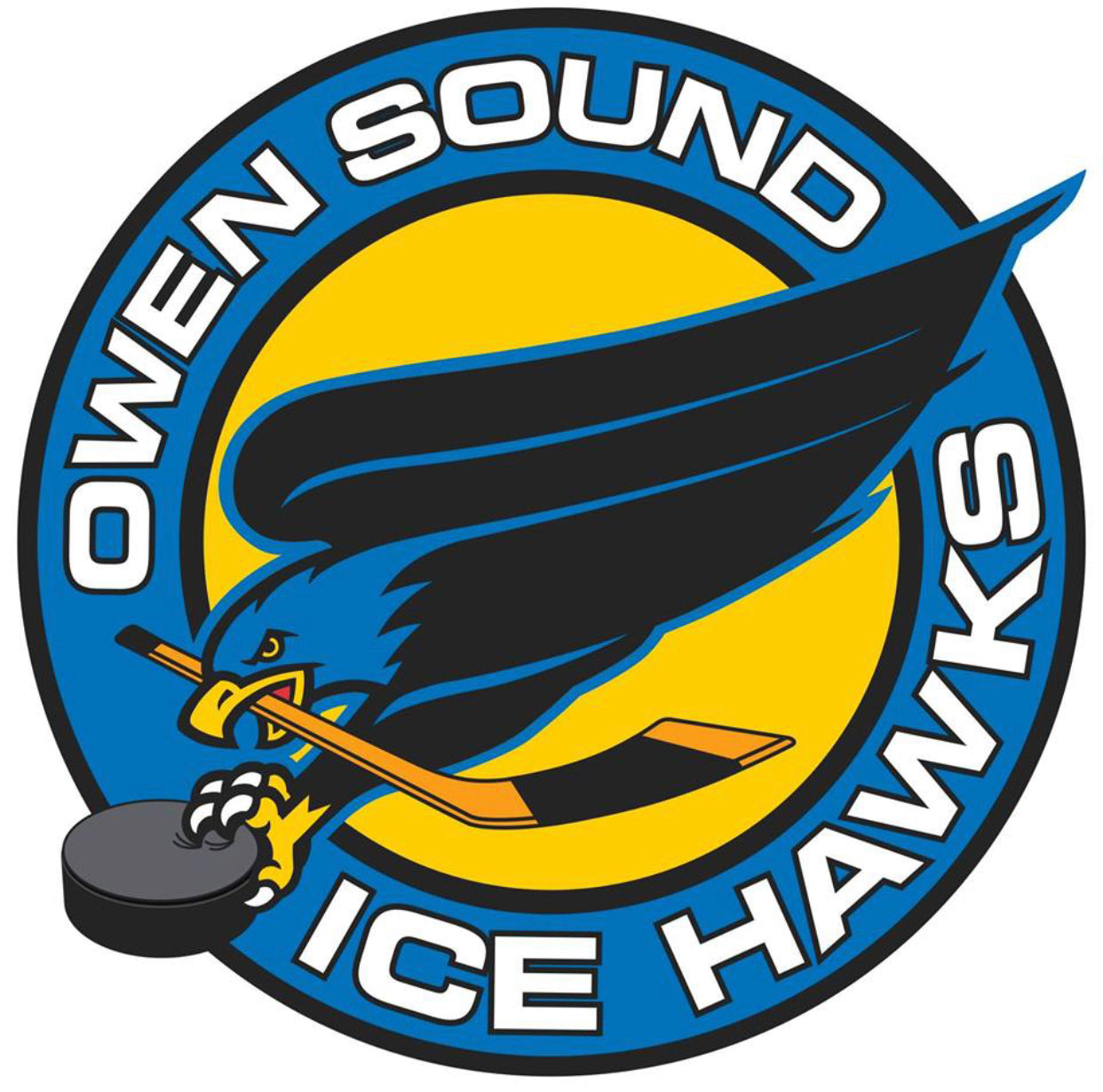 Owen Sound Ice Hawks – Meikaa